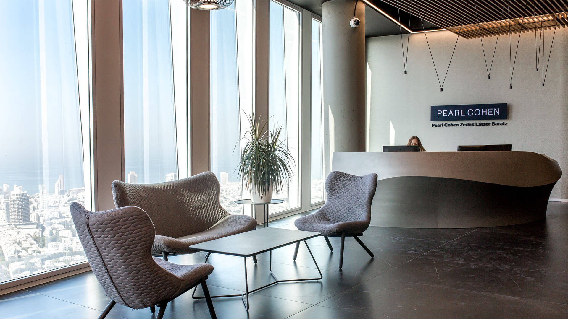 Professionals - Pearl Cohen